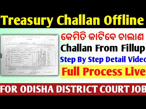 ଷ୍ଟେଜେରୀ ଚାଲାଣ କେମିତି କଟିବେ ,Odisha Treasury Challan Ofline , Treasury ...