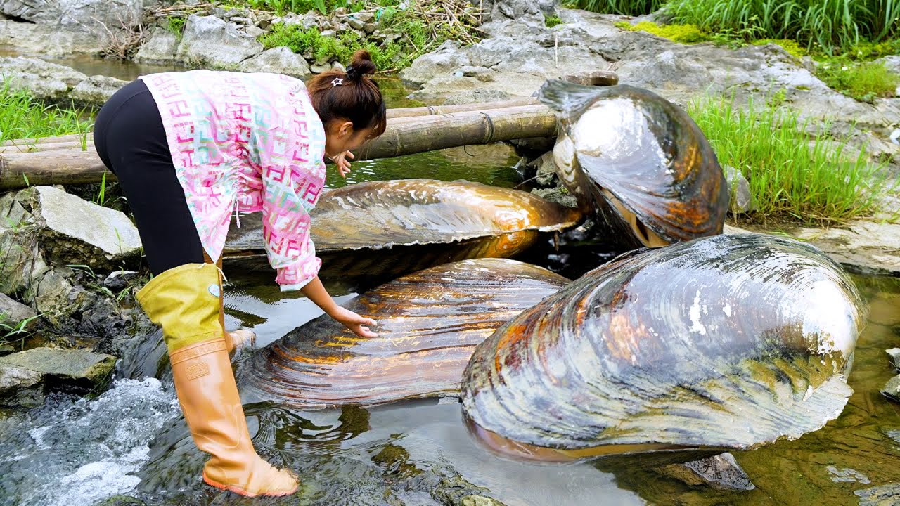 The girl salvaged a mutated giant clam and discovered hundreds of rare ...