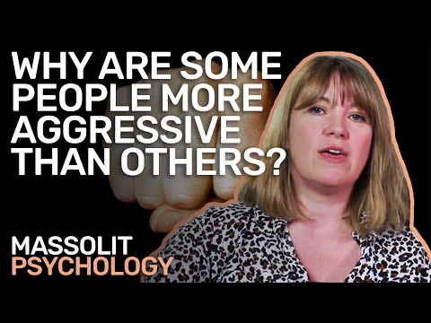 Aggression and the Warrior Gene