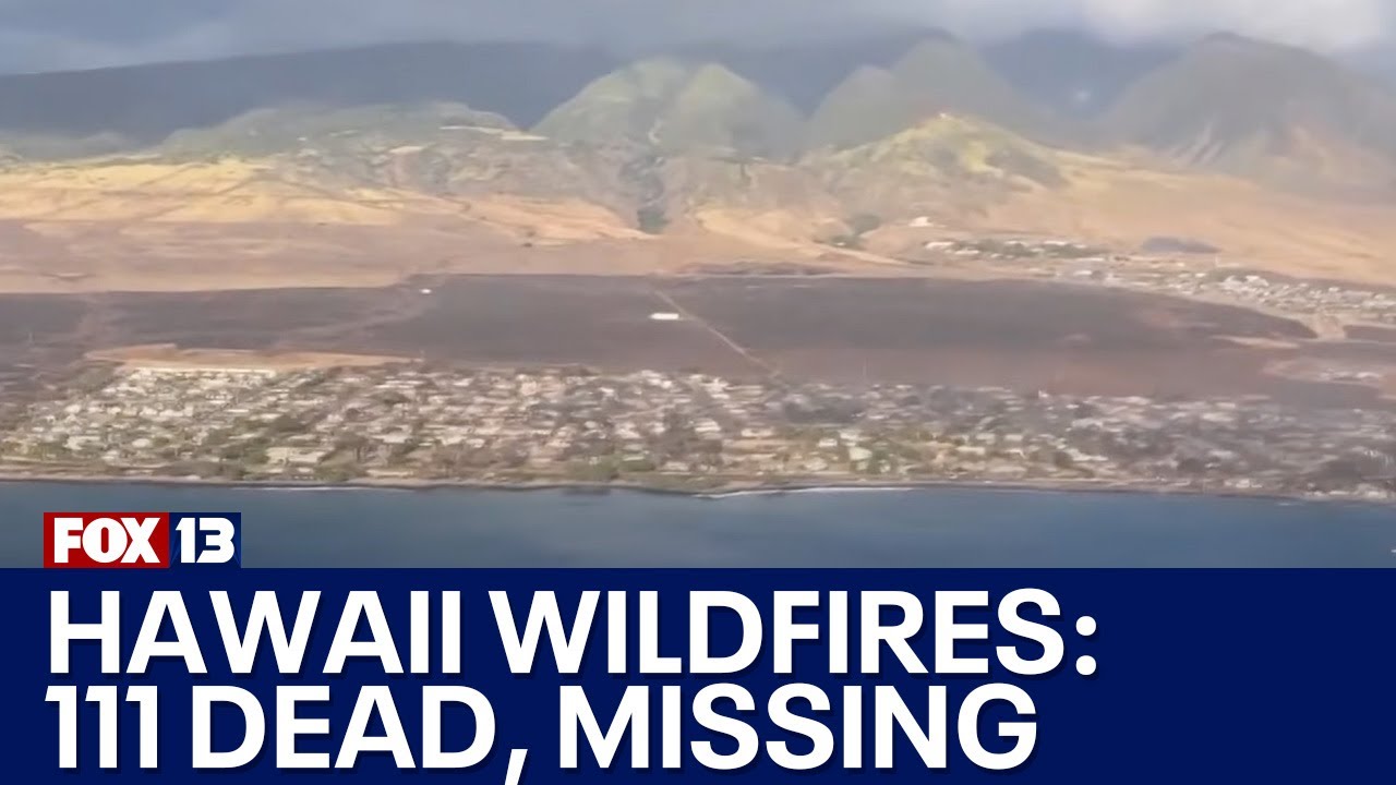 At least 111 dead, hundreds missing in Hawaii wildfires - YouTube