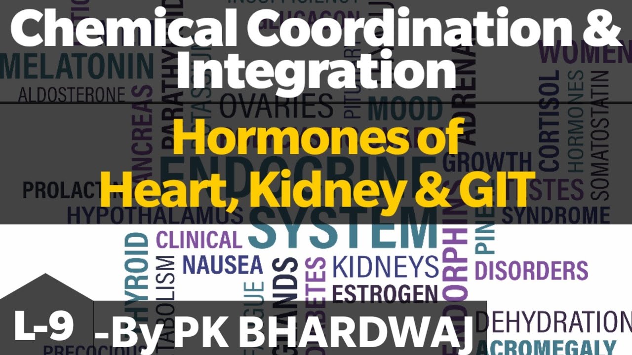 Hormones of Heart,Kidney & GIT - YouTube