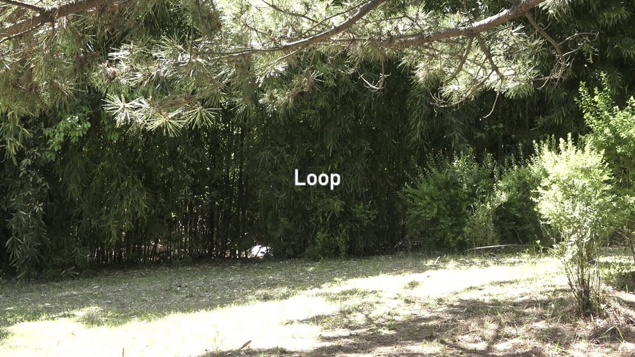 【短編SFコメディ映画】「Loop」【short film】 - YouTube