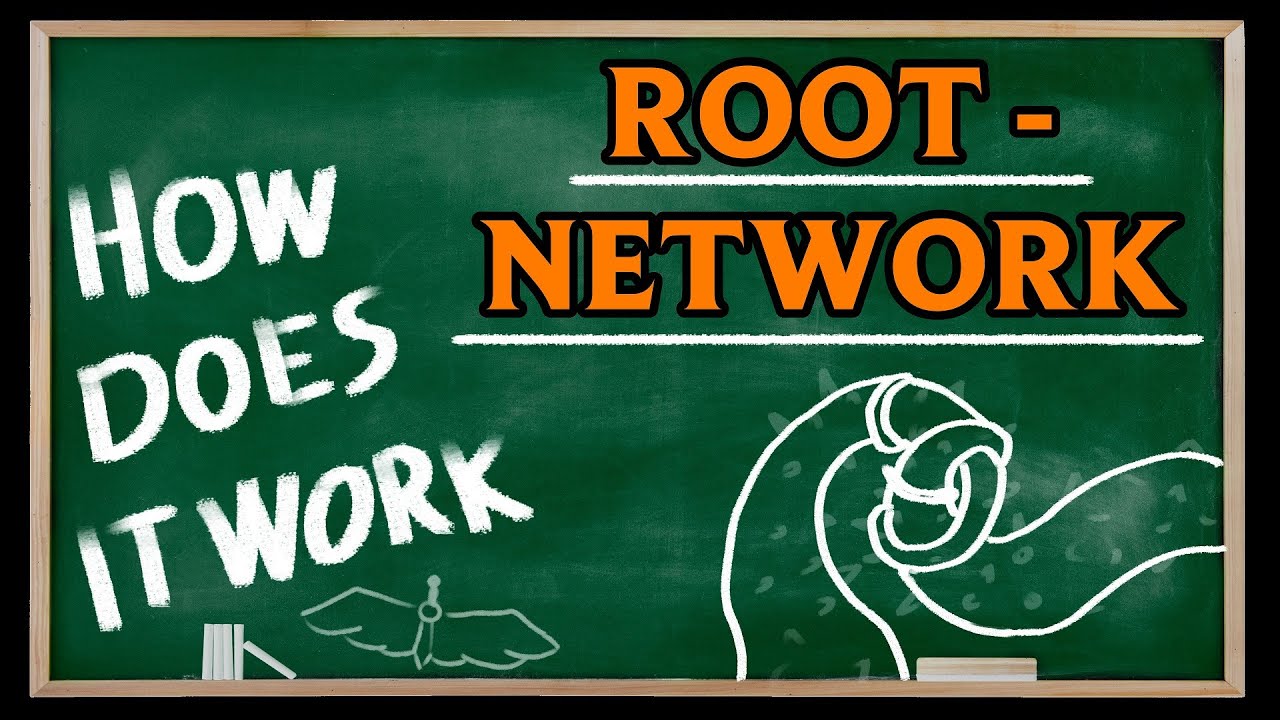 How Does It Work - #Root and Root-Network - YouTube