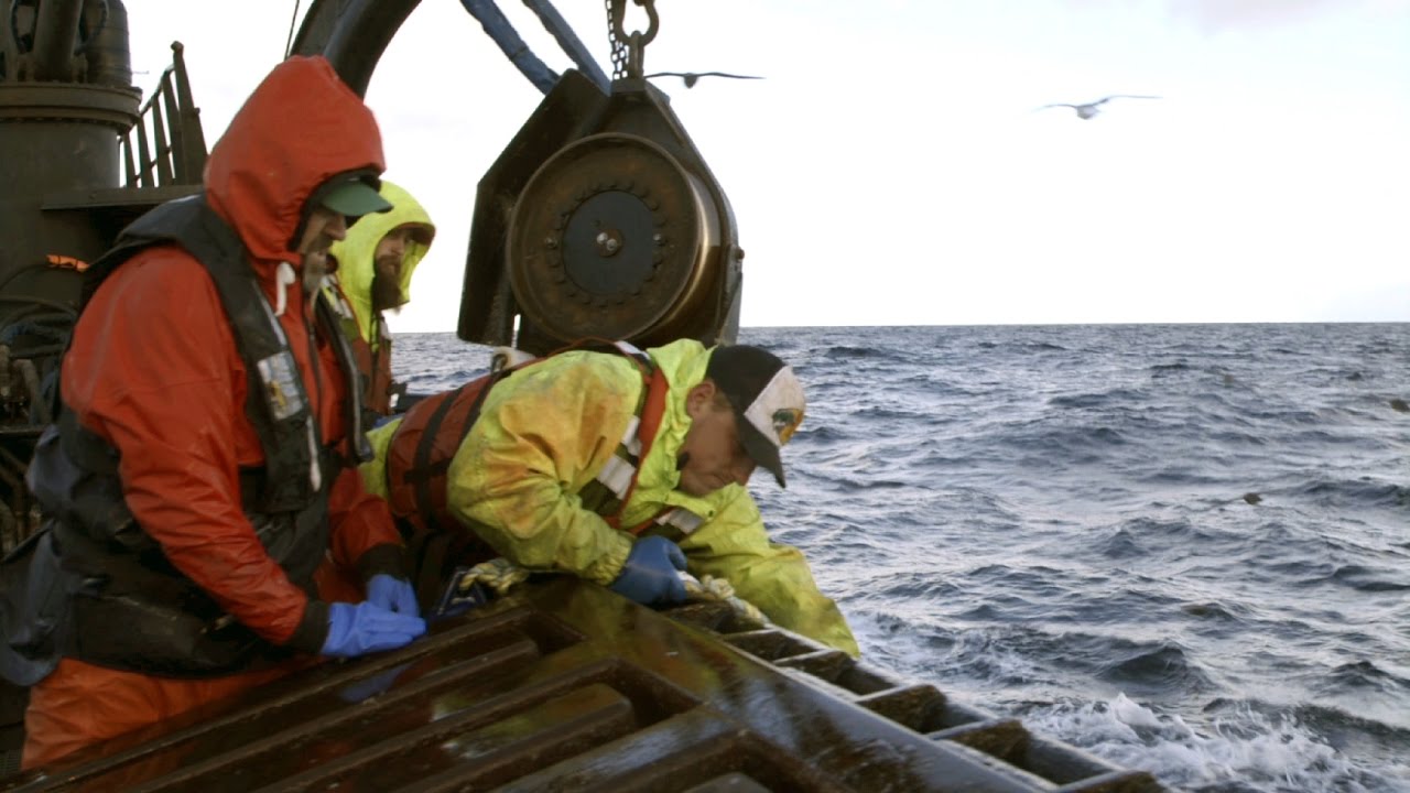 How's This For A Wake Up Call? A Deckhand Gets Snagged By A Hook On The ...