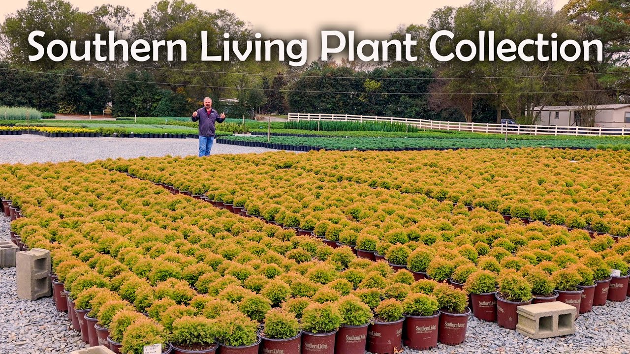 Southern Living Plant Collection - YouTube