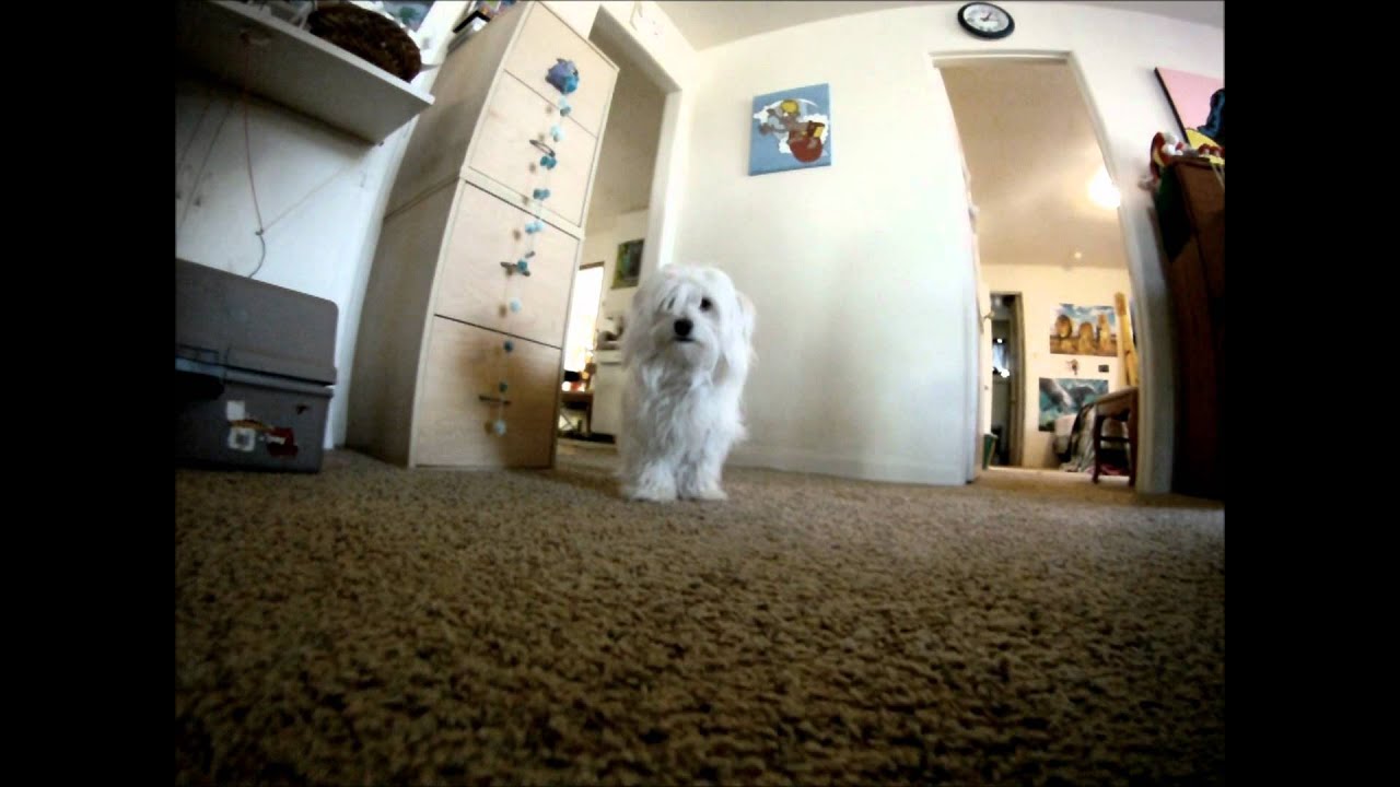 Making ordinary things cool with slow motion and music - YouTube