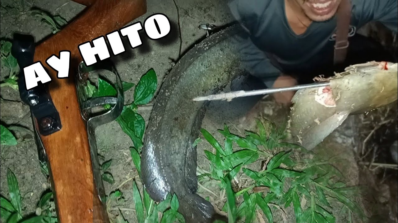 EP341 HITO, DUGONG, OTEP ng SAMPALOK LAKE | CATCH AND COOK - YouTube