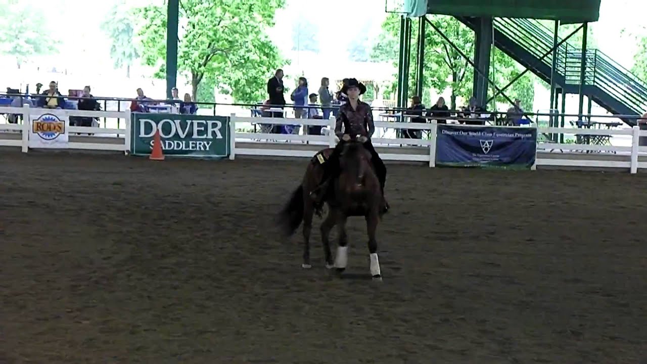 2010 IEA Nationals - Audrey's Saturday Reining - 4th Place - YouTube