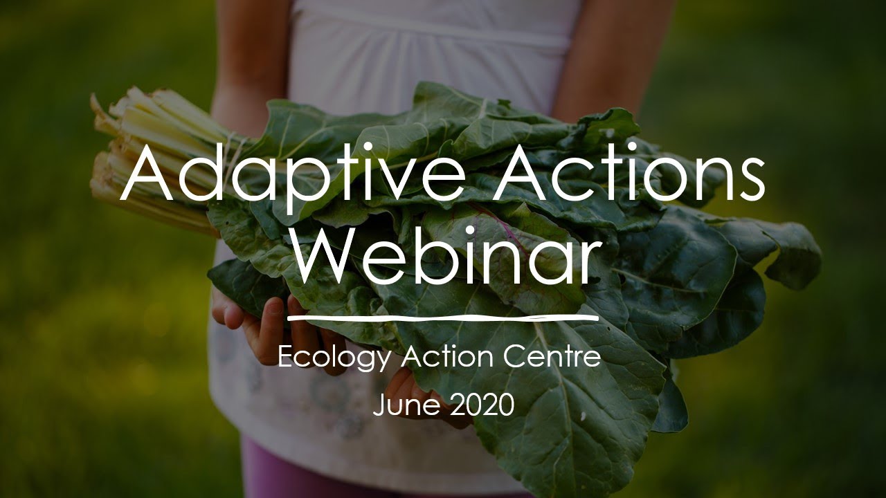 Adaptive Actions Webinar - YouTube