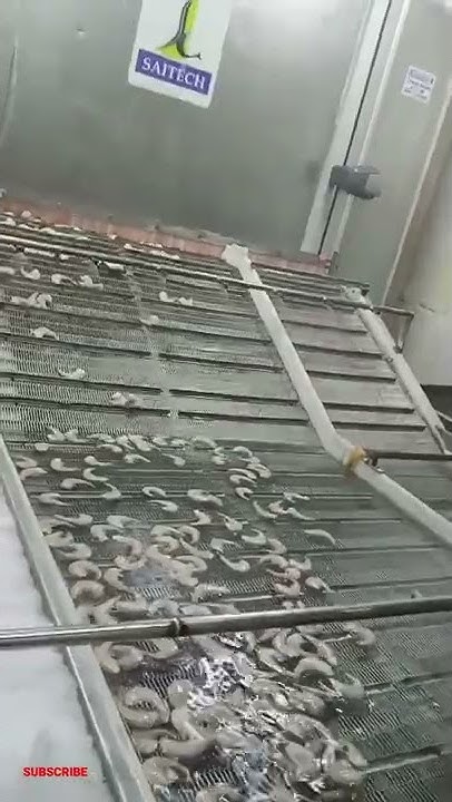 IQF glazing process // FAC - YouTube