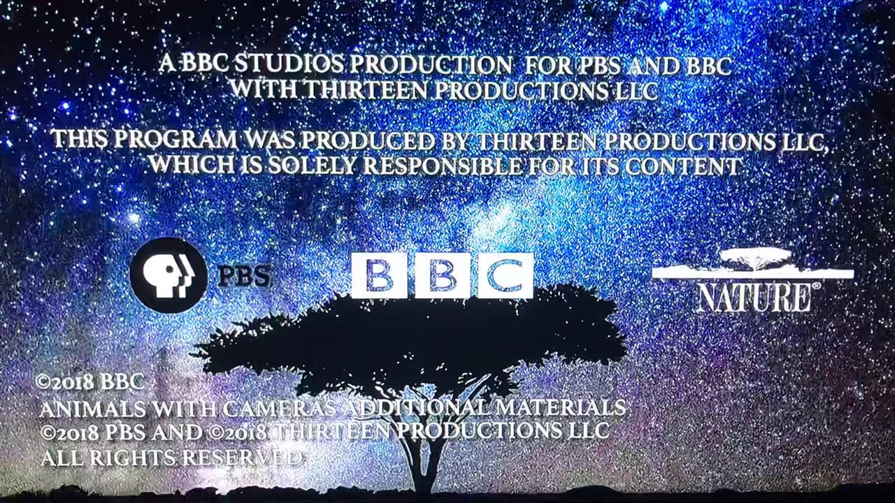 PBS/BBC/WNET Thirteen(2018) Logo - YouTube