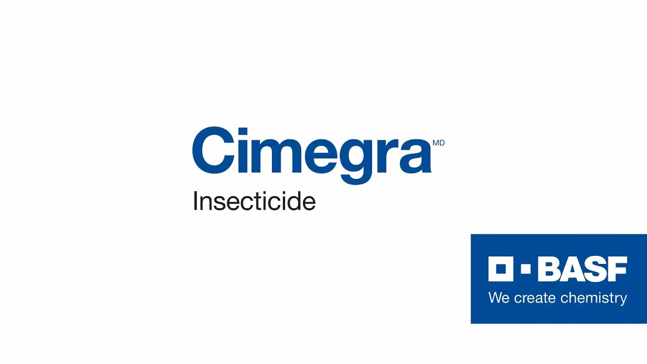 Extension du profil d’emploi de Cimegra | BASF - YouTube
