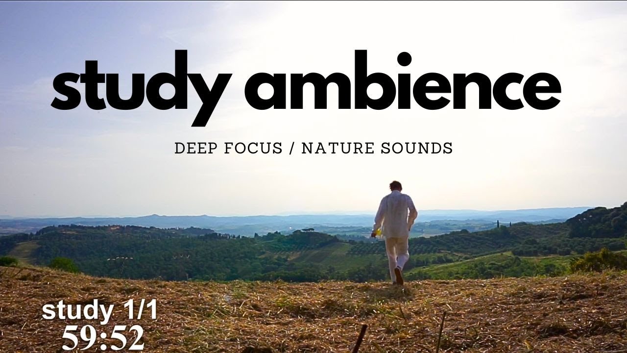 1-HOUR STUDY AMBIENCE ⛰ RELAXING NATURE ASMR / STUDY WITH ME TIMER ...