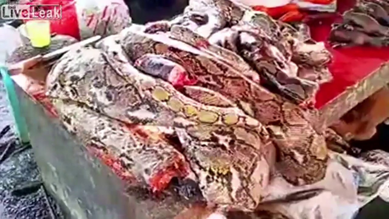 Exotic Animal Food In Wuhan China Is The Main Cause Of CORONA VIRUS exotic-animal-food-in-wuhan-china-is-the-main-cause-of-corona-virus
