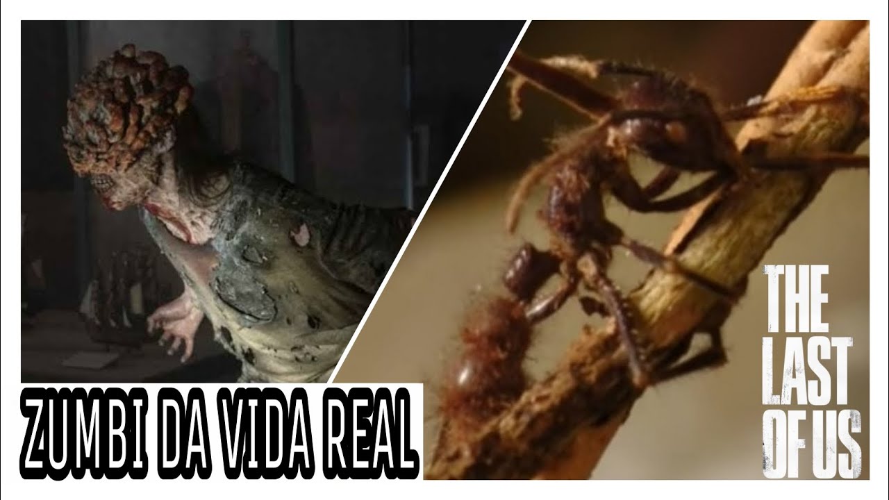 A Biologia por trás de | The last of us - YouTube