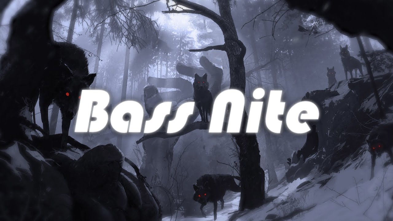 Sam Tinnesz - Wolves feat. Silverberg [BASS BOOSTED] - YouTube