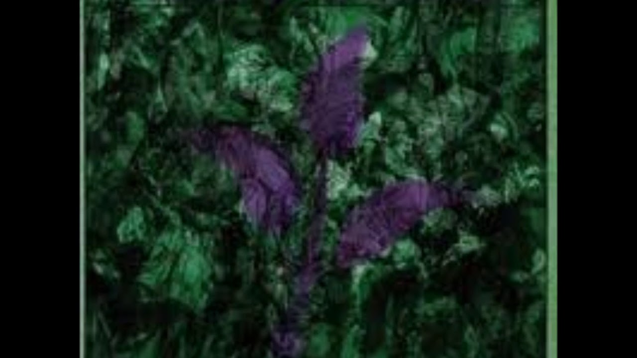 Left lane Didon x Wazasnics - Spring Forward( FULL EP) - YouTube