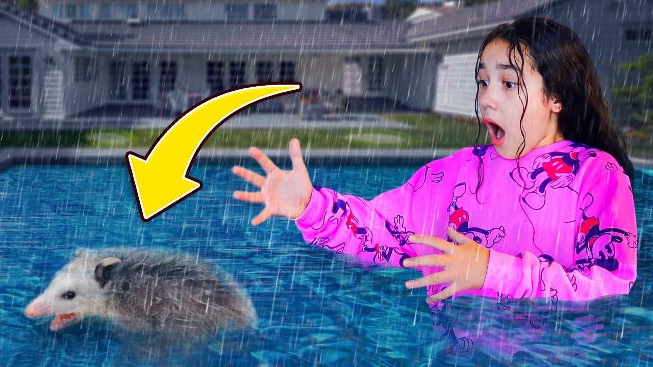Suri Saw An OPOSSUM Drowning in The POOL!! | Jancy Family - YouTube