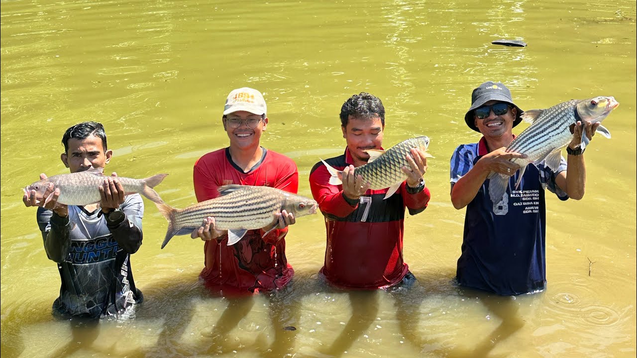Memukat induk ikan temoleh,krai dan kelah merah - YouTube