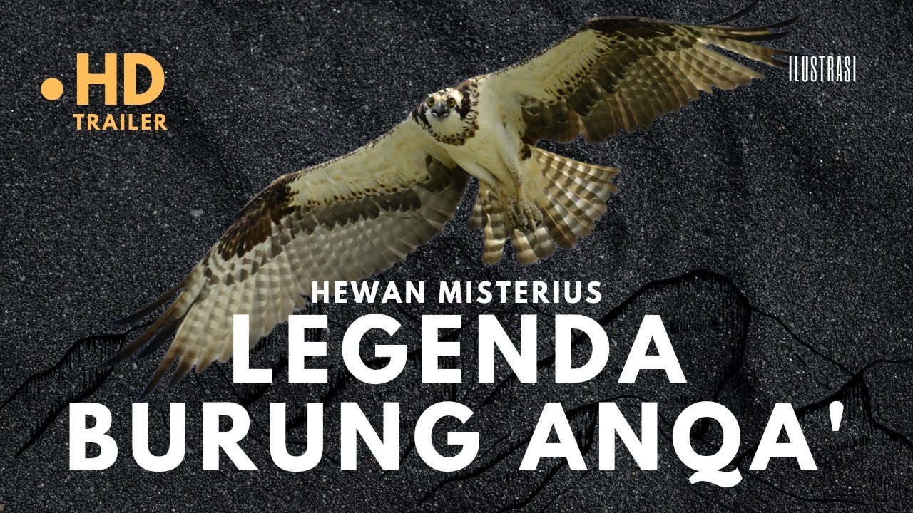 Legenda Burung Anqa' - YouTube
