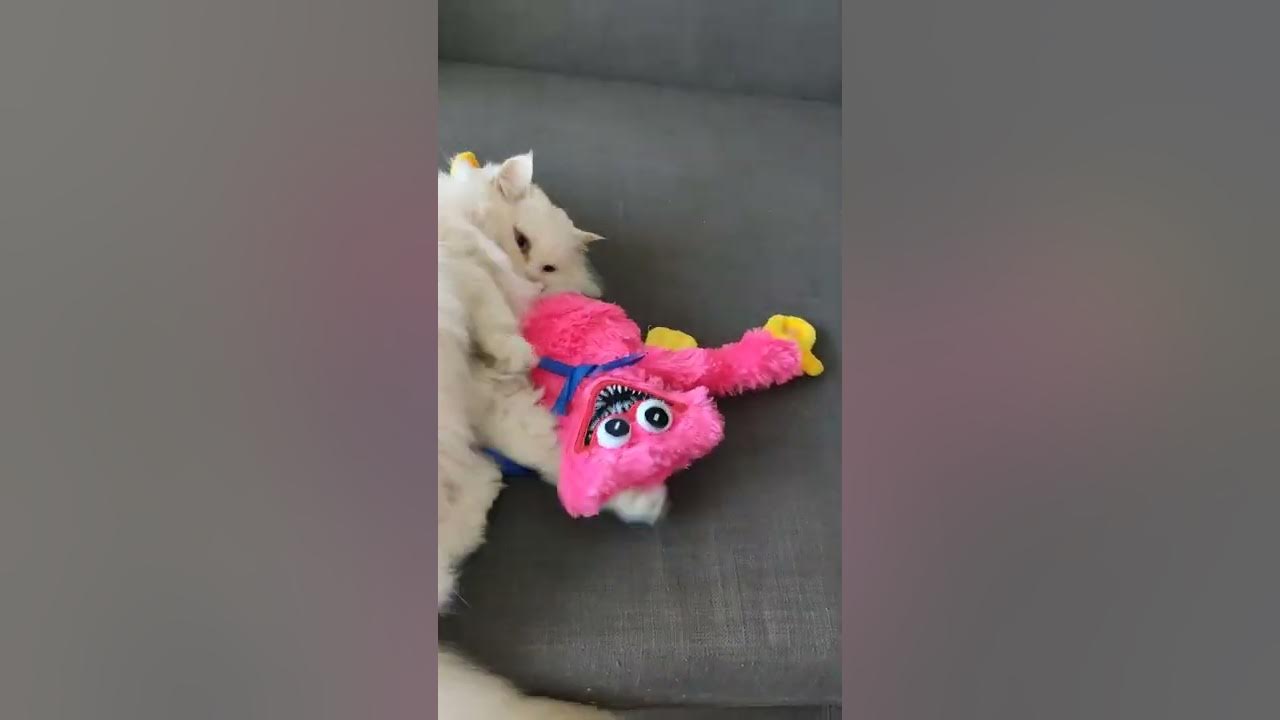 Кися Мися + Кисси Мисси=💗 - YouTube