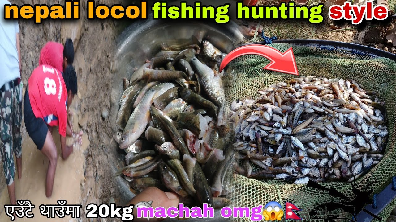 Nepali locol fishing hunting style !!एउँटै थाउँमा 20kg 🦈machah😱 ...