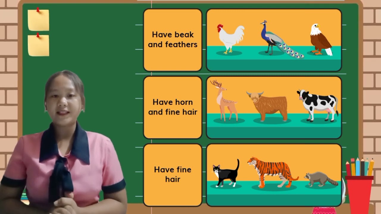 Lesson 1: Animals: Parts, Functions and Importance to Humans (Module 5 ...