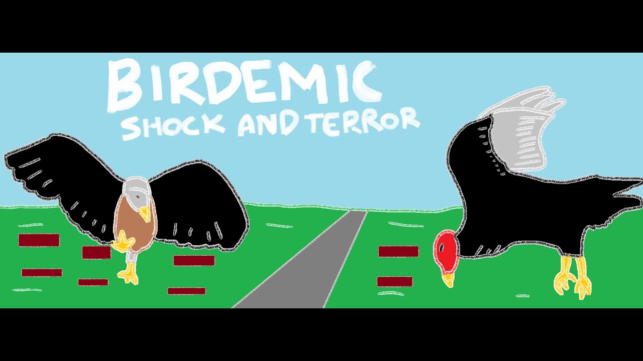Birdemic Shock and Terror - YouTube