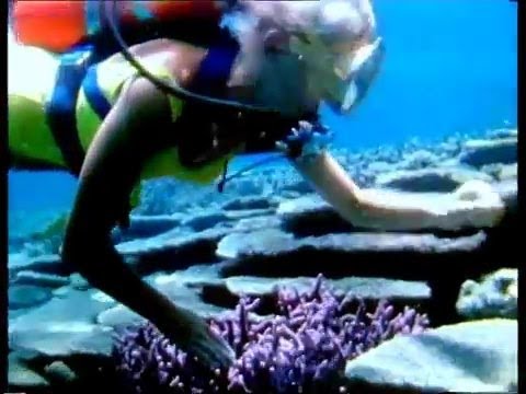 Vintage Scuba Diving Australia 1960s - YouTube