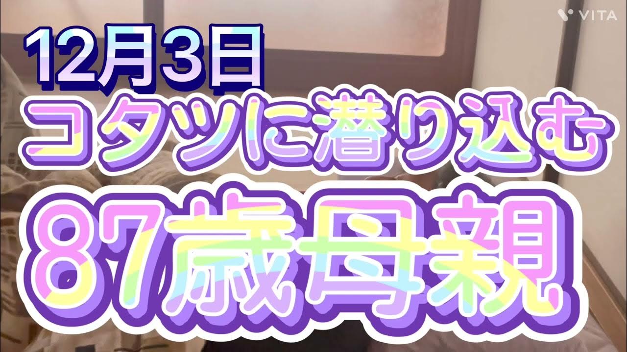 【おばあちゃんねる】12月3日老老介護を終えた87歳おばあちゃんがコタツに潜り込む Youtube
