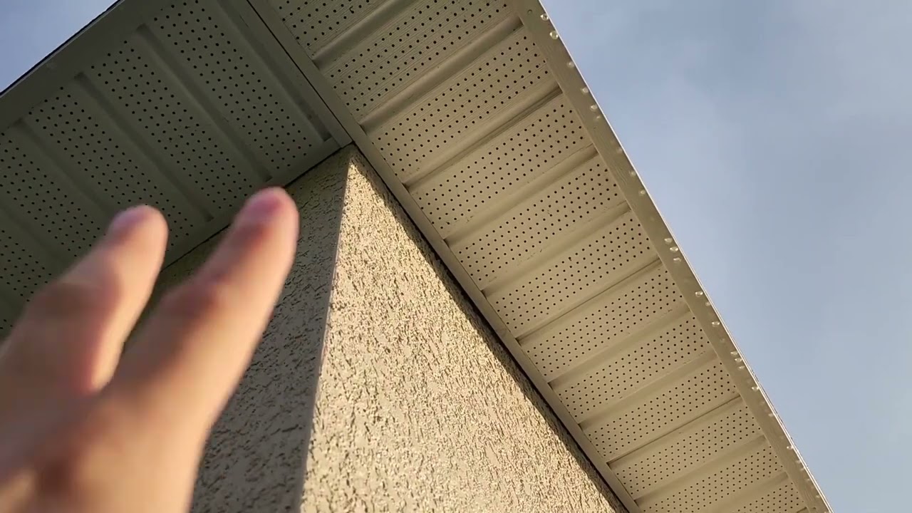 Animal Entry Points For Your Home - YouTube