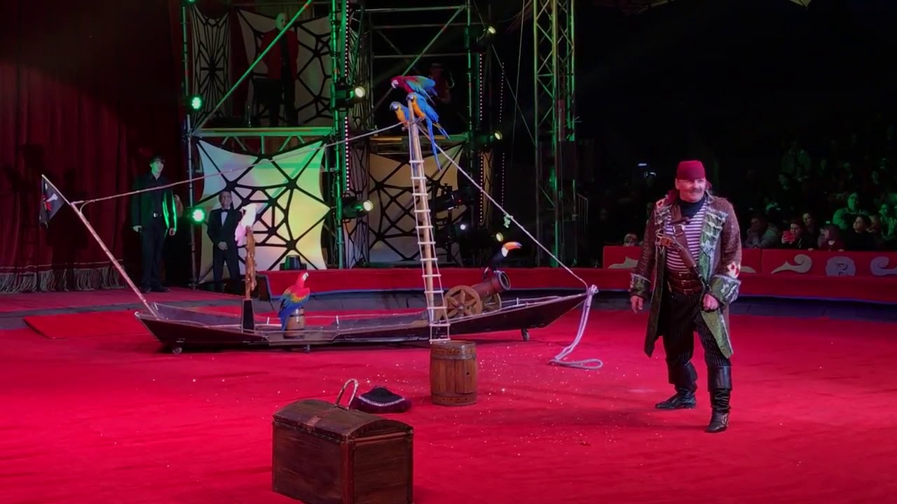 Parrots Trained Circus Animals Birds Act Variety Show Entertainment ...