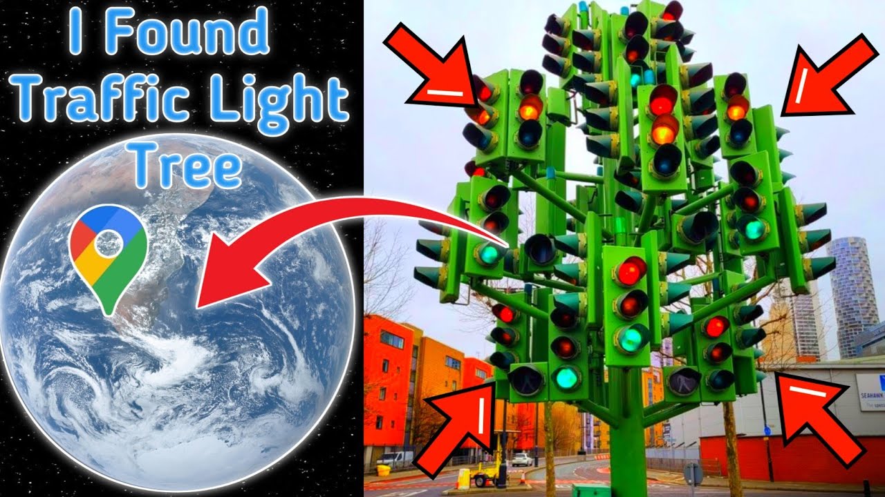 I Found Traffic Light Tree In Real Life📍 Traffic light On Google Earth ...