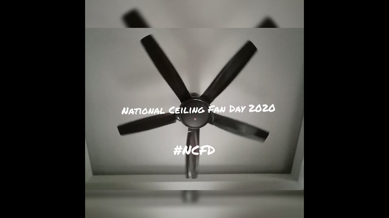 National Ceiling Fan Day 2020 | #NCFD2020 - YouTube
