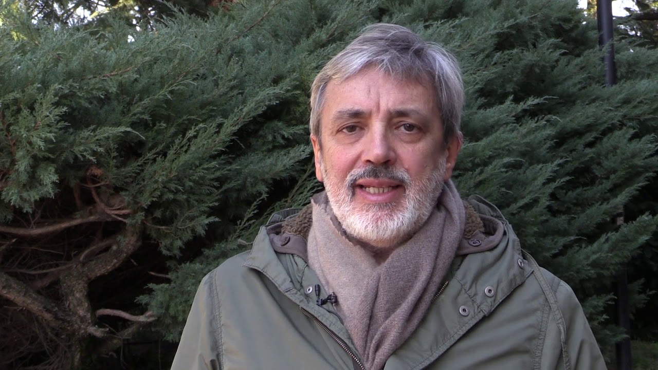 Intervista a prof. G.Plazzi - Congresso 15/12 Bologna - YouTube