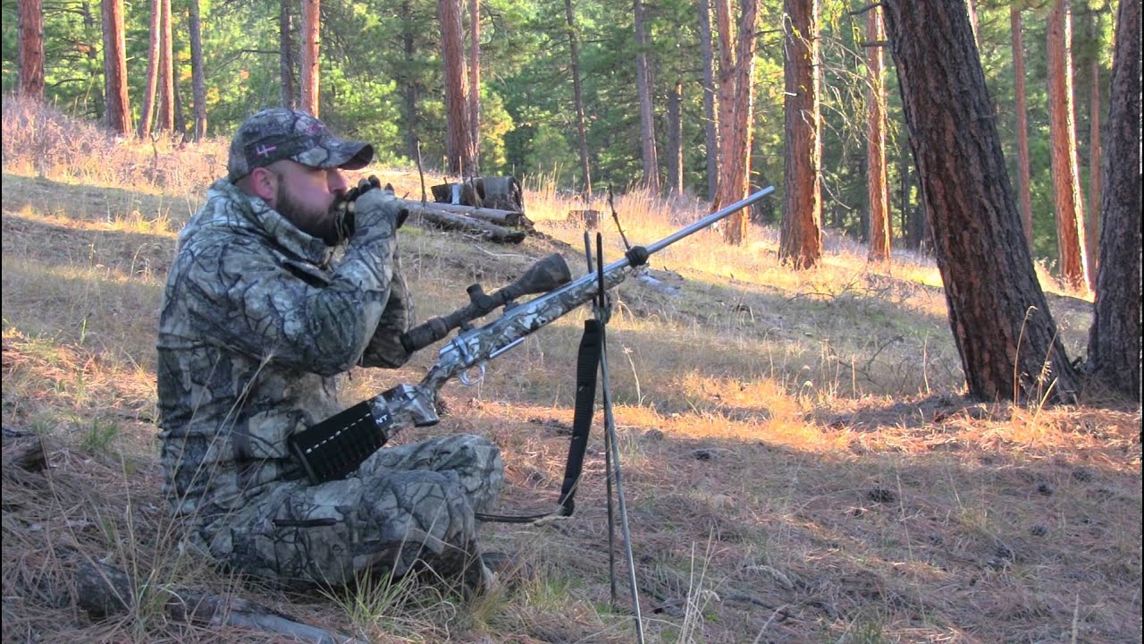 Predator Hunting Preview-Switchback Outdoors - YouTube