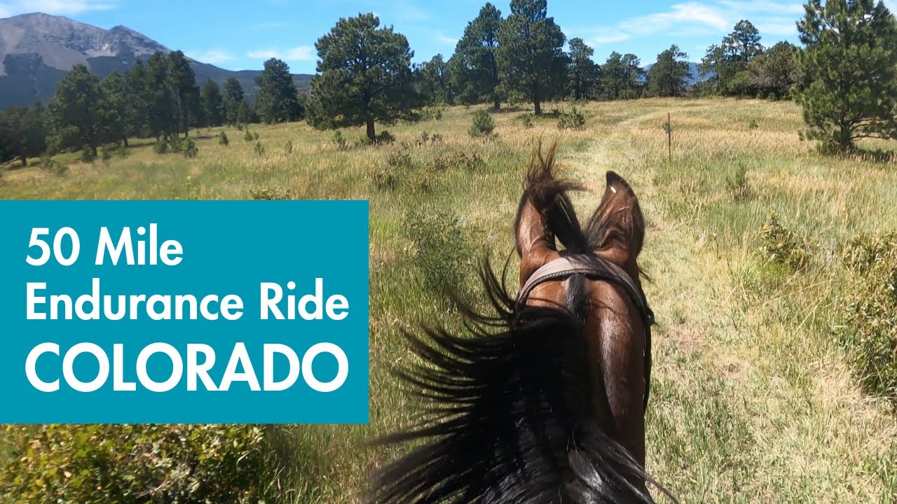 Colorado Endurance Horseback Ride | Spanish Peaks | GOPRO - YouTube