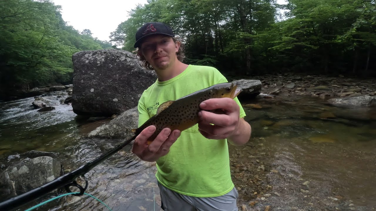 NEW TECHNIQUE AT BROWN TOWN! Hook n Lips AVL 6/30/23 Jacob slaying ...