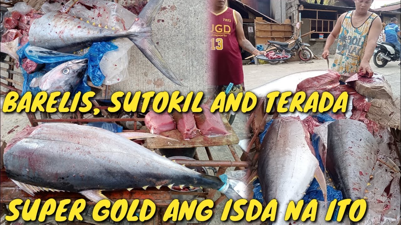 SUPER GOLD ANG PRESYO SA ISDA NA ITO | BARELIS ,SUTOKIL ANG TERADA, # ...