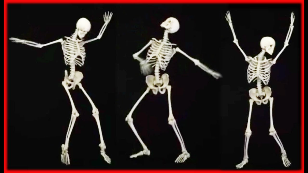 The Skeleton Dance YouTube The Skeleton Dance YouTube