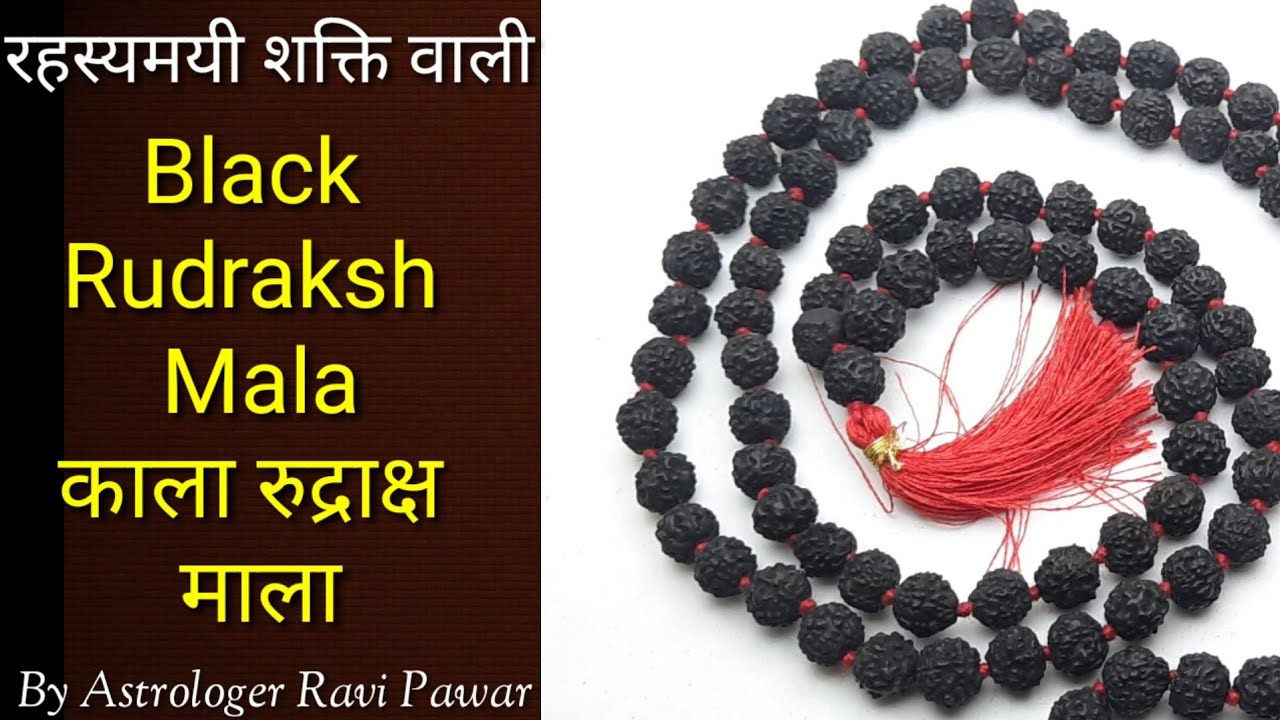 काला रुद्राक्ष माला | black rudraksh mala | kala rudraksh mala | black ...