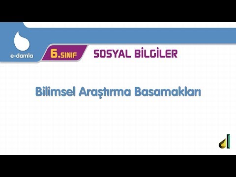 6.Sınıf Sosyal Bilgiler Bilimsel Araştırma Basamakları