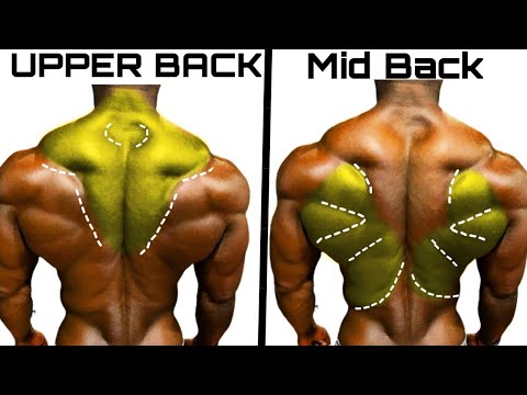 Top 4 Middle Back Upper Back Workout to Build Wide Back Workout - Wide ...