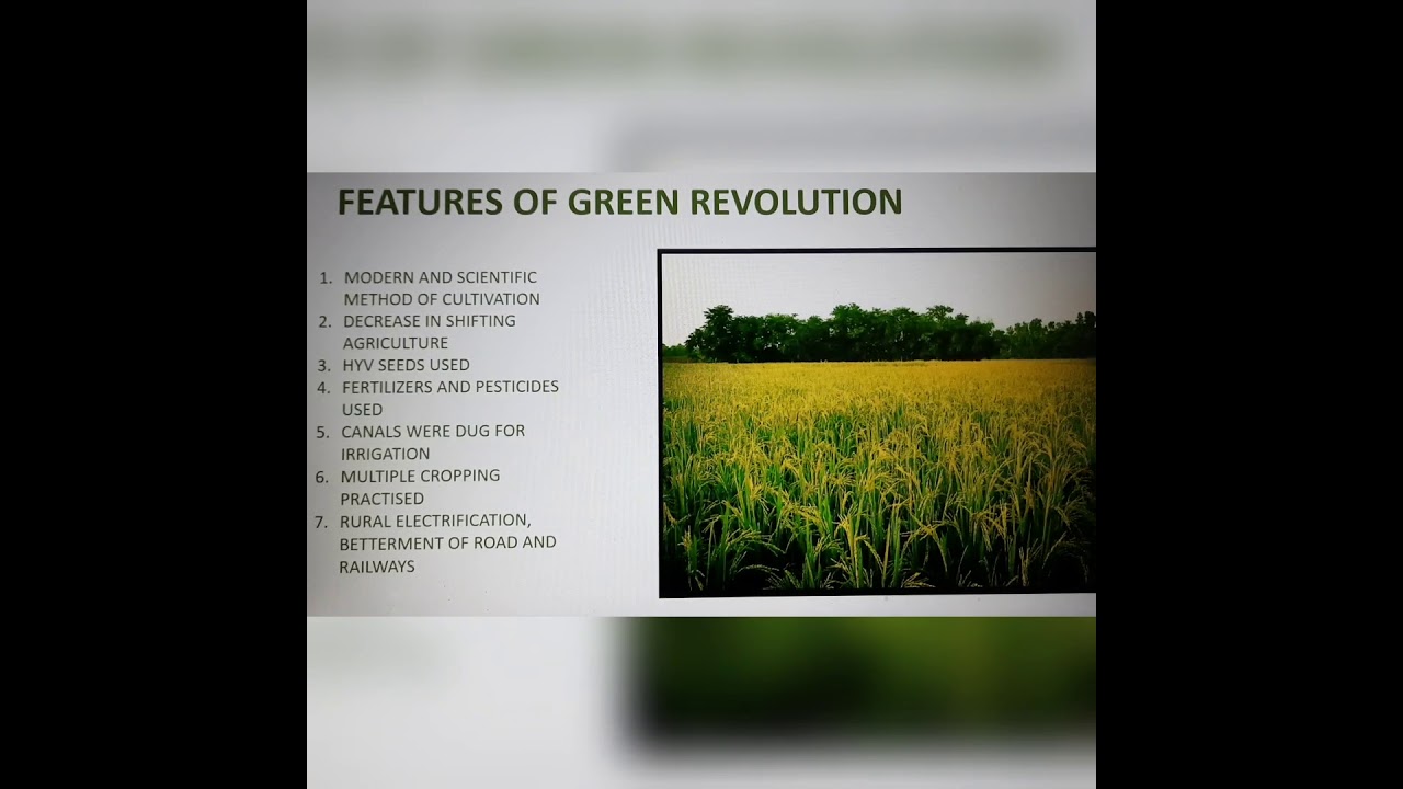 Green Revolution: Features, Merits and Demerits - YouTube