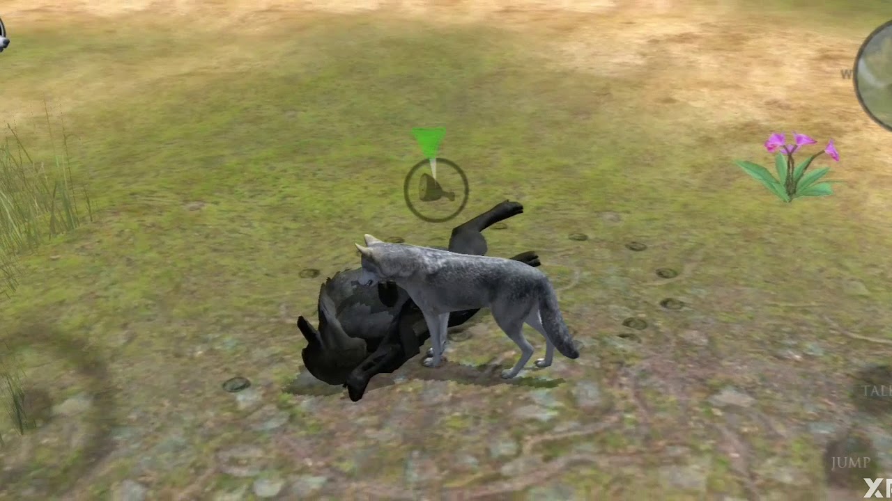 Ultimate wolf Simulator 2| em busca de um parceiro (matei ele ;-;) ep1 ...