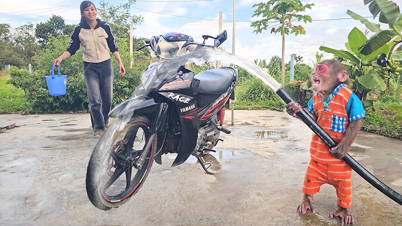 Monkey Su excited to wash super car his mother's! - YouTube