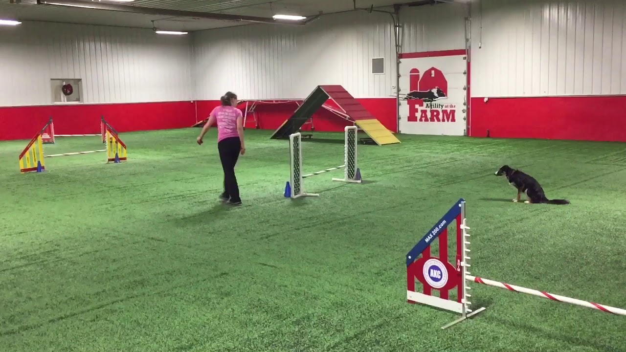 Reign train with Soshana Dos 1-3-2020 - YouTube