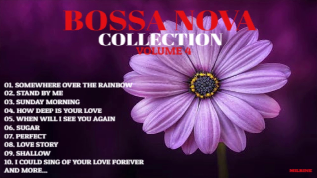 Bossanova The Best Of Bossa Nova Collection 80s 90s Greatest Hits