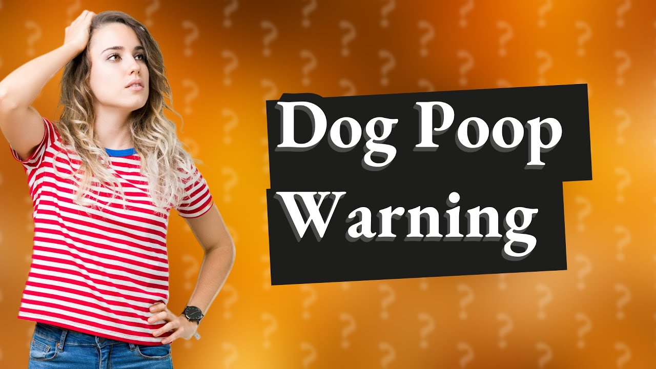 Can U Flush Dog Poop Down The Toilet at William Bittle blog