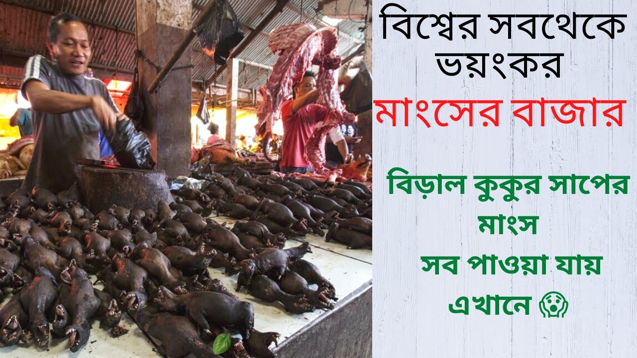 এশিয়ার সবথেকে ভয়ংকর মাংসের বাজার | Asia's Scariest Meat Market | # ...